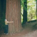 San Francisco to Santa Cruz Day Trip: Redwoods and Beach Fun - Transportation & Group Size