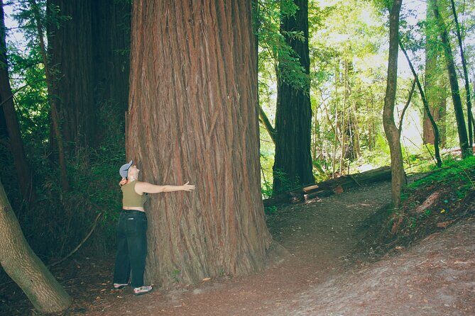 San Francisco to Santa Cruz Day Trip: Redwoods and Beach Fun - Transportation & Group Size