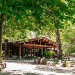 San Francisco: Yosemite National Park & Giant Sequoias Hike - The Journey Begins: From San Francisco to Yosemite