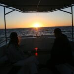 San Jose del Cabo Small-Group Sunrise Whale Watching - The Experience of Watching at Sunrise