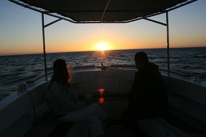 San Jose del Cabo Small-Group Sunrise Whale Watching - The Experience of Watching at Sunrise