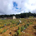 San Juan Chamula & Zinacantan Indigenous Villages Tour - What Our Research Tells Us: Real-World Insights from Experiences