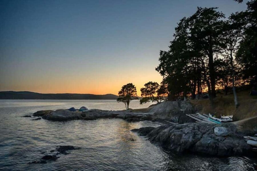 San Juan Island: Half- or Full-Day Lime Kiln Kayak Tour - Final Thoughts: Is It Worth It?