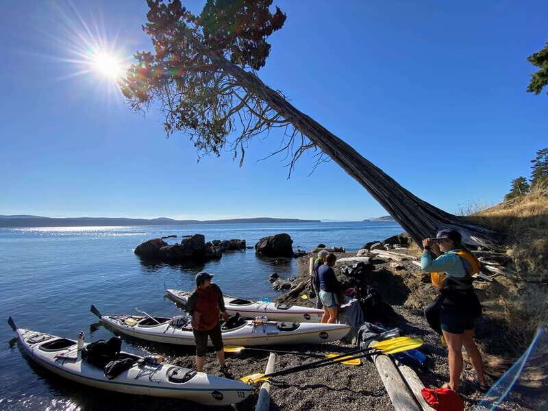 San Juan Islands: 3 Day Kayak and Camping Adventure - What to Expect and What to Bring