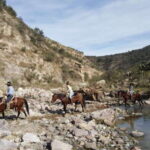 San Miguel Allende: Half-Day Horseback Riding Adventure - Key Points