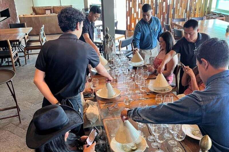 San Miguel de Allende: 3 or 5-Course Menu & Wine Pairing - The Vineyard Tour: Green Seasons and Grandeur