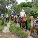 San Miguel de Allende: Full-Day Ranch Adventure - What Does the Tour Cost and Is It Worth It?