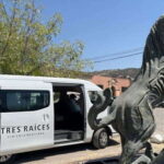San Miguel de Allende: Local Vineyard Tour & Wine Tasting - The Wines and the Packages: Whats on Offer?
