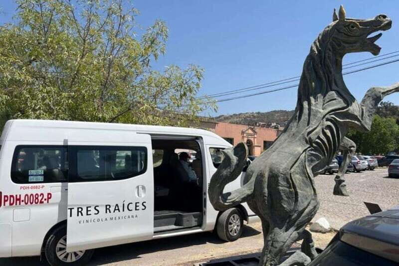 San Miguel de Allende: Local Vineyard Tour & Wine Tasting - The Wines and the Packages: Whats on Offer?