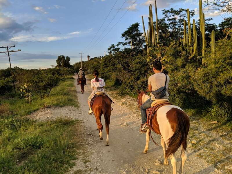 San Miguel: Romantic Horseback Riding at Sunset - Detailed Review of the Experience