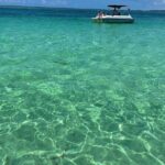 Sandbar Excursion - Why This Tour Could Suit You