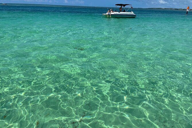 Sandbar Excursion - Why This Tour Could Suit You