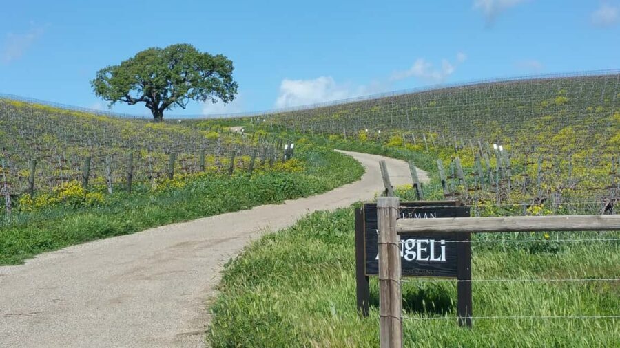 Santa Barbara: E-bike wine tour w/ transport, tasting, lunch - Who Should Consider This Tour?