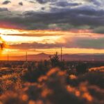 Santa Fe Private Walking Tour: Hidden Gems & Historic Charm - Practical Details and Considerations