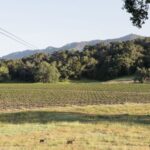 Santa Margarita: Zipline Adventure with 6 Different Ziplines - Who This Tour Is Best For