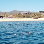 Santa Maria and Chileno Bay Snorkel Adventure Los Cabos - Who Should Consider This Tour?