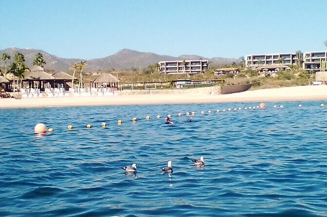 Santa Maria and Chileno Bay Snorkel Adventure Los Cabos - Who Should Consider This Tour?