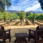 Santa Rosa North Sonoma County Small Group Winery Tour - Value and Pricing