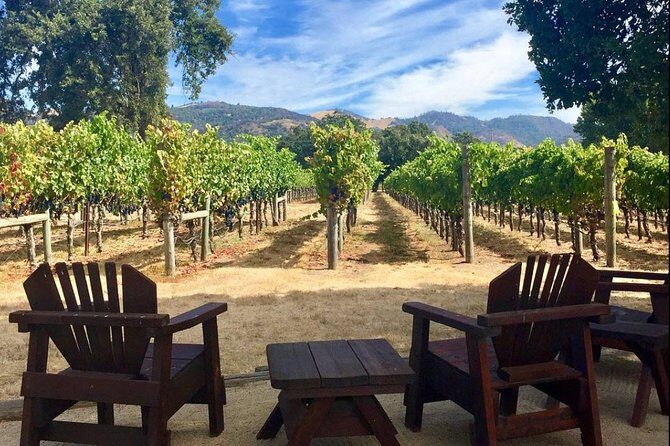 Santa Rosa North Sonoma County Small Group Winery Tour - Value and Pricing