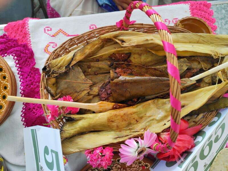 Santiago de Anaya, Hidalgo: Food tour. Experience among stoves. - Why This Tour Offers Great Value