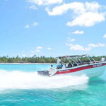 Saona Island Day Trip + Lunch + Open Bar from Punta Cana - Authentic Experiences & Practical Tips