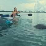 Sarasota Waterways Tour for All Ages - What Do Travelers Say?