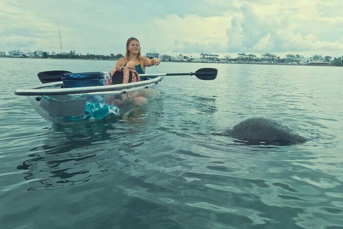 Sarasota Waterways Tour for All Ages - What Do Travelers Say?