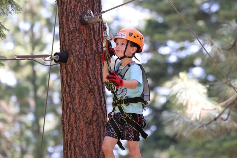 Sasquatch Hollow: Kids' Zipline Adventure - What to Expect: A Step-by-Step Breakdown