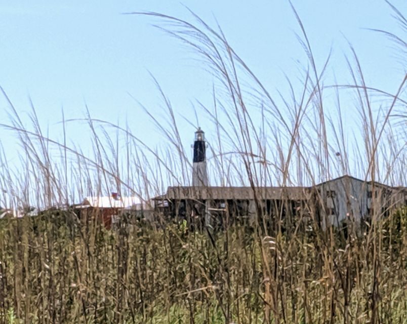 Savannah: Historic District and Islands Private Tour - Tybee Island: A Coastal Escape