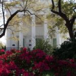 Savannah: Historic District Overview on Foot - Why This Tour Offers Great Value