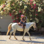 Sayulita: Horseback Riding Tour - The Authentic Experience: Why This Tour Works