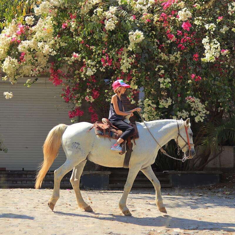 Sayulita: Horseback Riding Tour - The Authentic Experience: Why This Tour Works