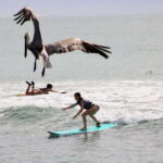 Sayulita: Surf Lessons for Beginner/Intermediate/ Advance - The Walk to the Surfing Spot