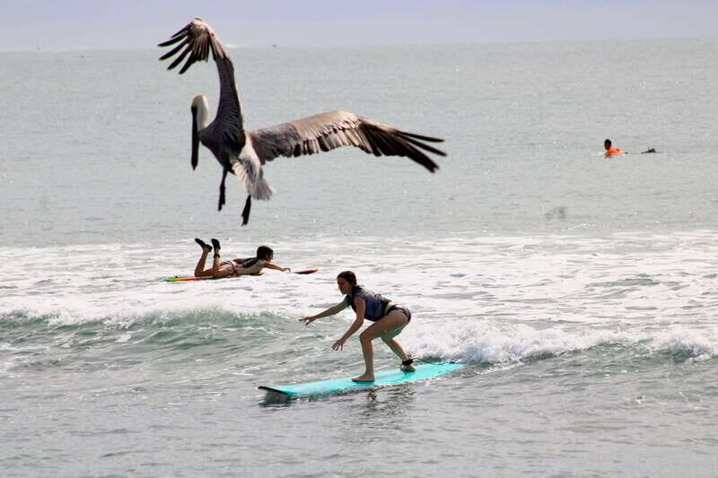 Sayulita: Surf Lessons for Beginner/Intermediate/ Advance - The Walk to the Surfing Spot