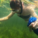 Scalloping Charters - The Sum Up