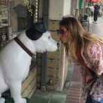 Scavenger Hunt Adventure in Ann Arbor by Wacky Walks - Detailed Breakdown of the Tour Experience