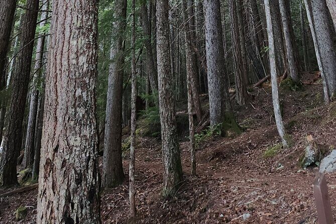 Scavenger Hunt Adventure with Geocaching in Whistler - Meeting Points and Practicalities