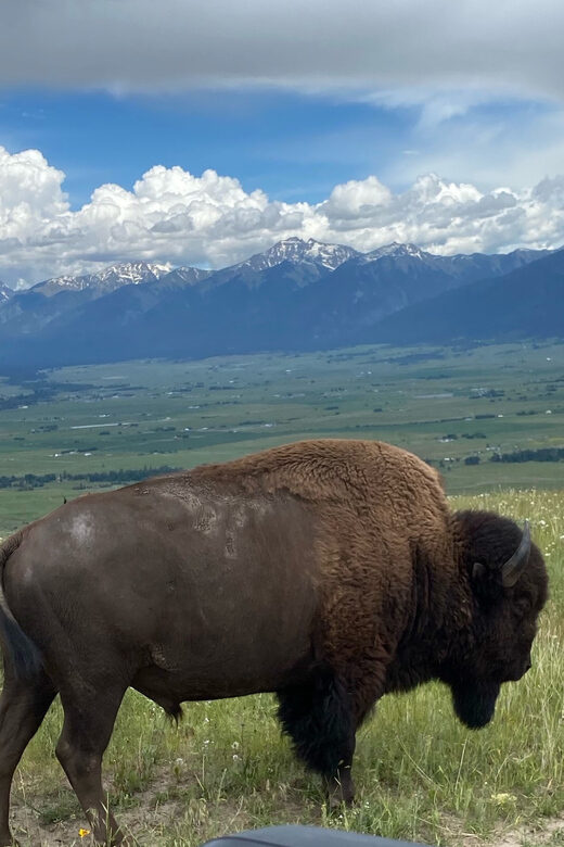 Scenic Driving Tour Flathead Lake and Bison Range - The value of this tour