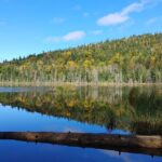 Scenic Hiking Adventure at Mont-Orford National Park - What Makes This Tour Stand Out?
