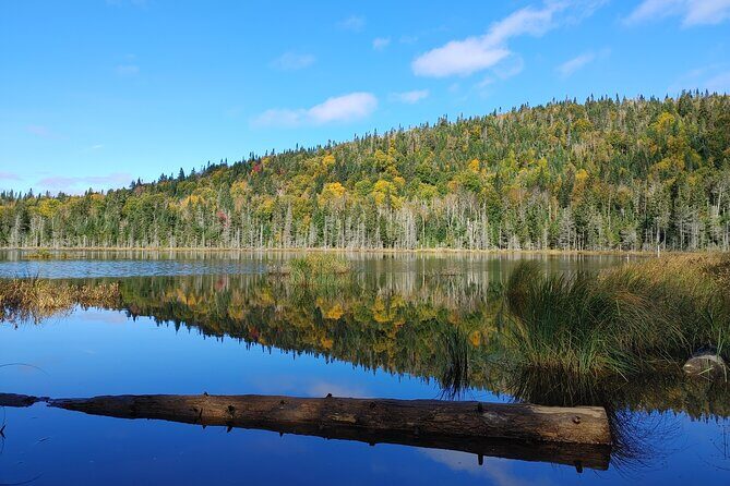 Scenic Hiking Adventure at Mont-Orford National Park - What Makes This Tour Stand Out?