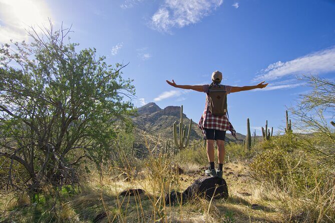 Scottsdale Desert Classic Guided Hiking Adventure - Why This Tour Offers Great Value