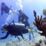 Scuba Cozumel: Experience from Boat, for Certified Divers - The Authentic Cozumel Reef Experience