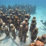 Scuba Dive at Musa Cancun for Certified Divers - Practical Details and Logistics