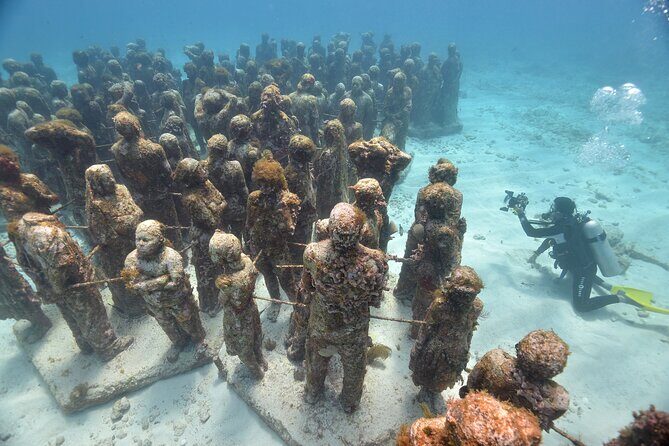 Scuba Dive at Musa Cancun for Certified Divers - Practical Details and Logistics