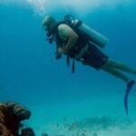 Scuba Diving (1st time) in Cancun Beginner's WELCOMED! - The Sum Up: Is This Tour for You?