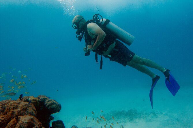 Scuba Diving (1st time) in Cancun Beginner's WELCOMED! - The Sum Up: Is This Tour for You?