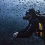 Scuba Diving - An In-Depth Look at the Cabo San Lucas Scuba Tour