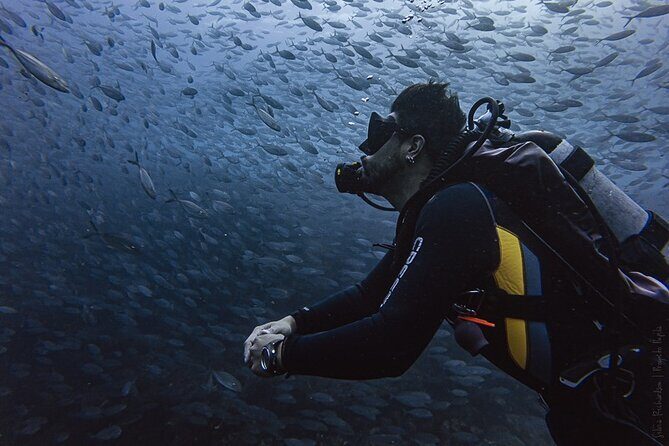 Scuba Diving - An In-Depth Look at the Cabo San Lucas Scuba Tour