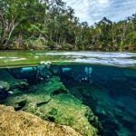 Scuba Diving in Cenotes - The Cost and Value