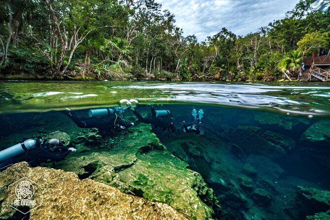 Scuba Diving in Cenotes - The Cost and Value
